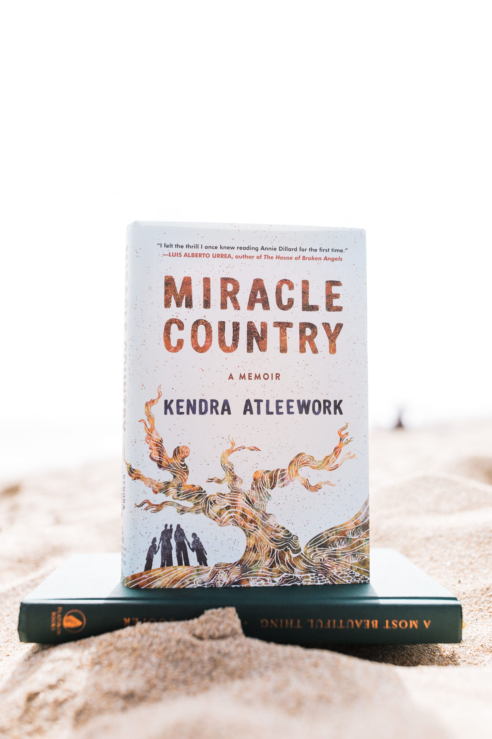 Miracle Country | Leighellen Landskov Photography Blog